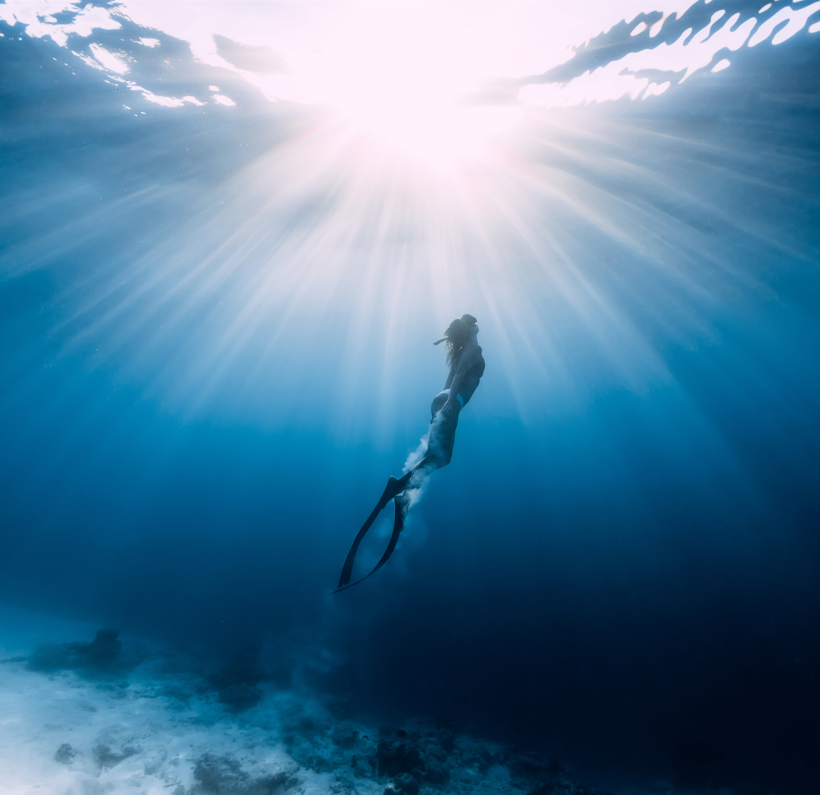 SDF Australia – Surf Dive Fish Australia